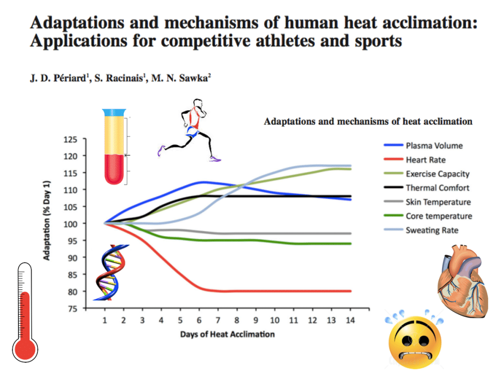 If You Are A Human: You Can Adapt to Heat - Athletica